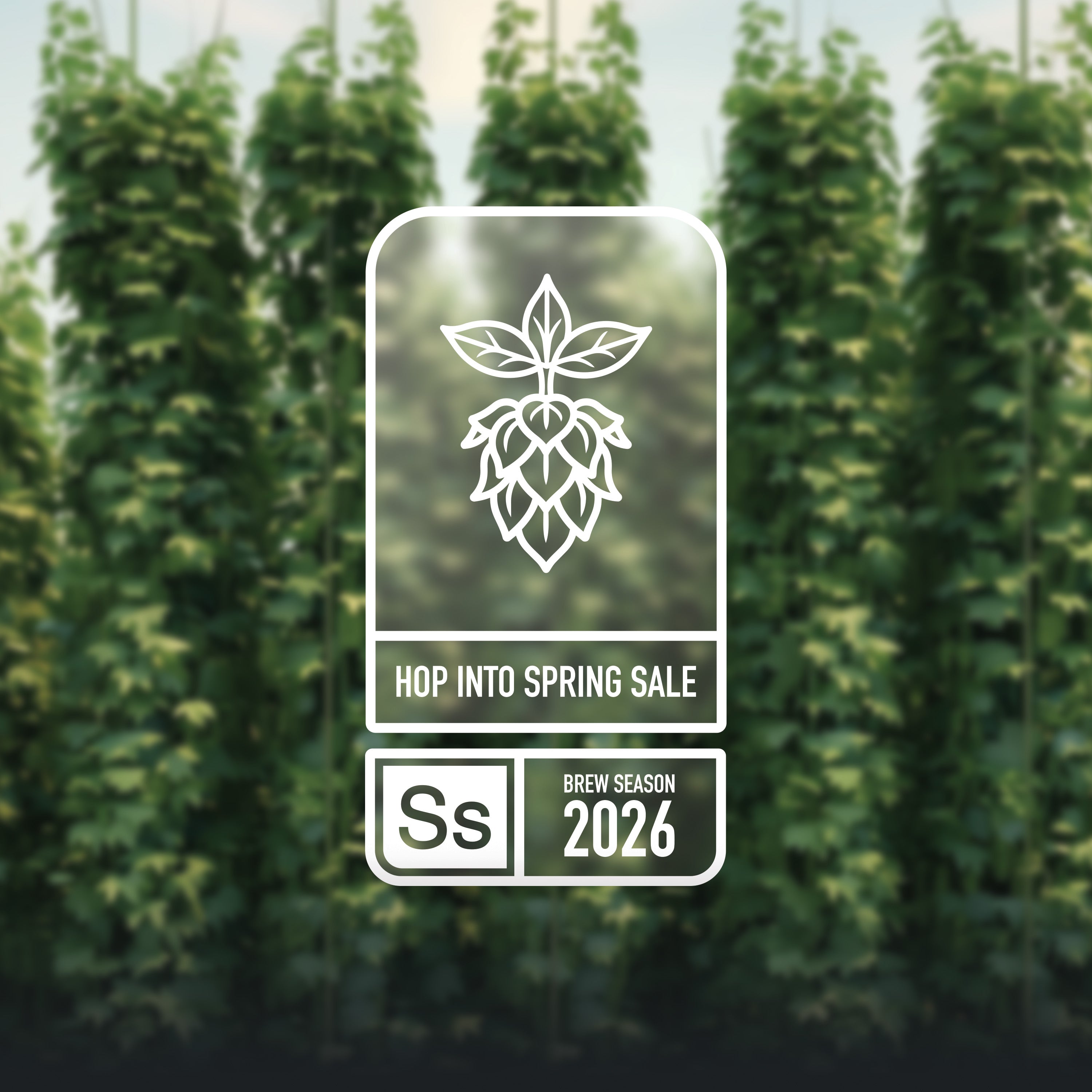 Ss Brewtech | Engineering Better Beer